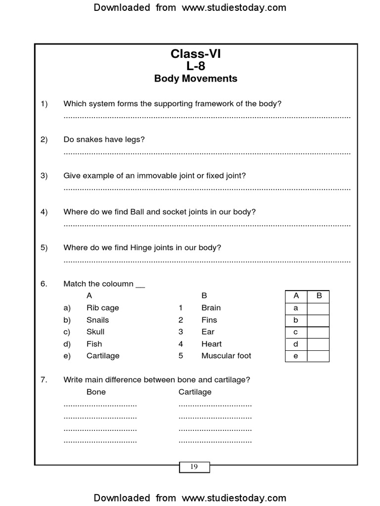 CBSE Class 6 Body Movements Worksheet | PDF | Joint | Skeleton