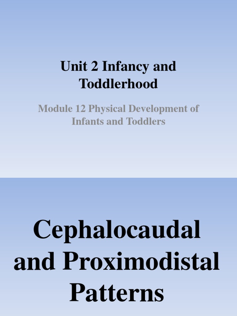 Powerpoint Dan Paul Infancy | PDF | Infants | Nervous System