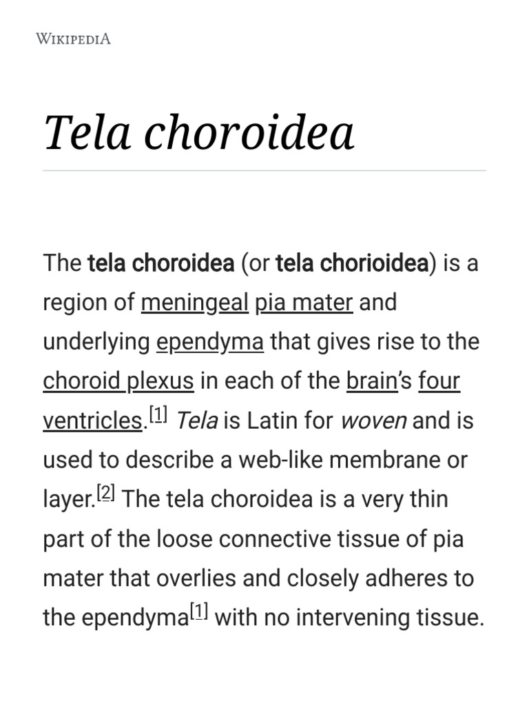 Tela Choroidea - Wikipedia | PDF | Central Nervous System | Human Anatomy