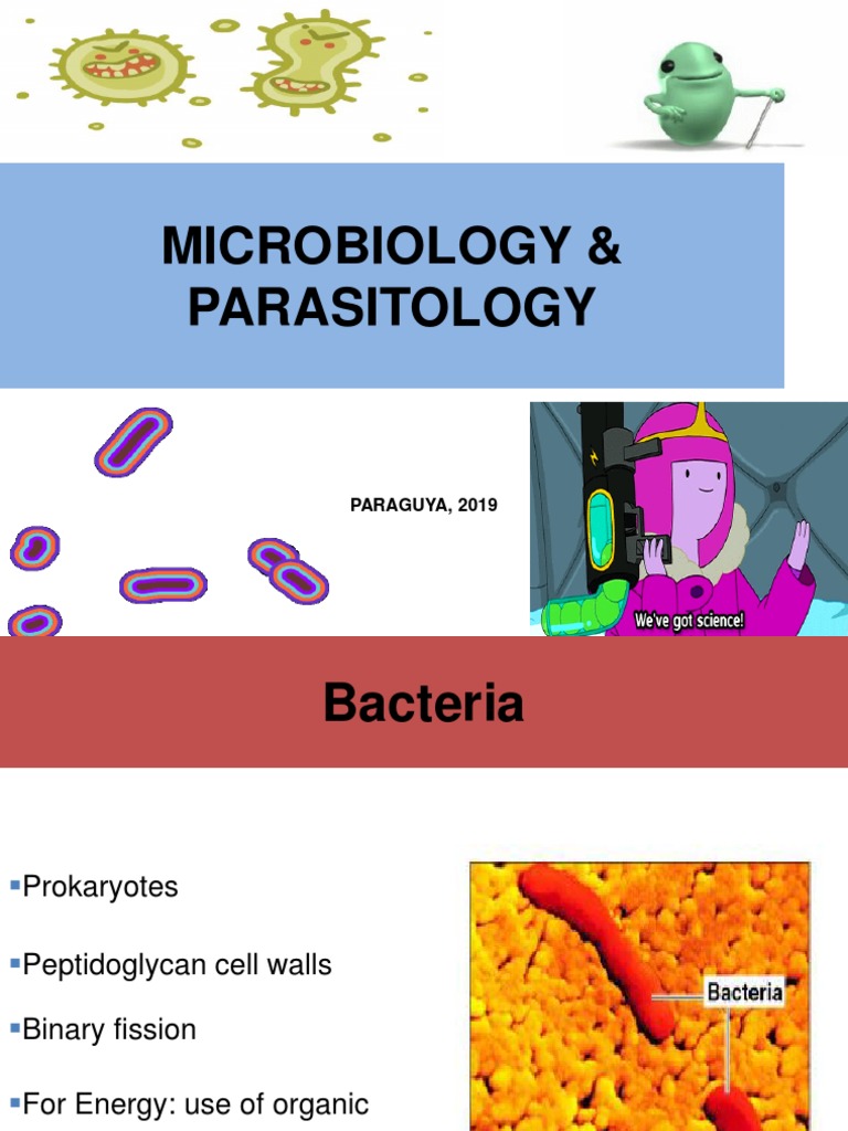 MICROBIOLOGY & PARASITOLOGY 2nd | PDF | Microbiology | Cell (Biology)