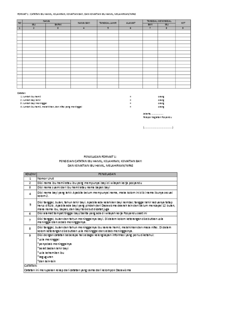 Format2 SIP Di Posyandu | PDF