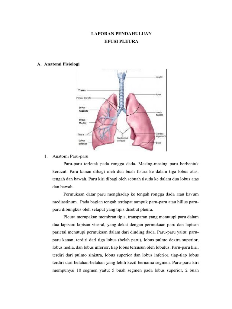 LP Efusi Pleura | PDF LP Efusi Pleura | PDF