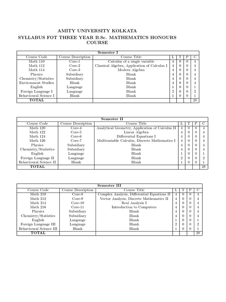 BSC Syllabus Maths Hons Amity University 2015 | PDF | Group ...