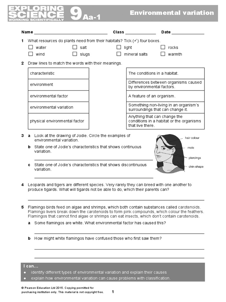 9A Activity Pack Worksheets PDF | PDF | Eye Color | Dna
