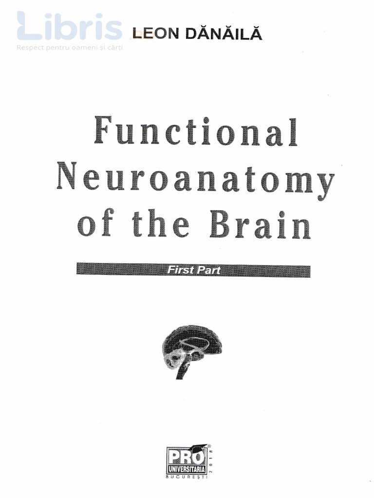 Functional Neuroanatomy of The Brain | PDF