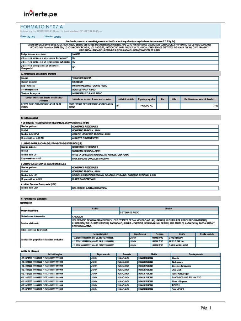 Formato 07 Riego Huasicancha | PDF | Valor presente neto | Tasa interna de retorno