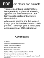 ENVIROPIG | PDF | Genetically Modified Organism | Transgene