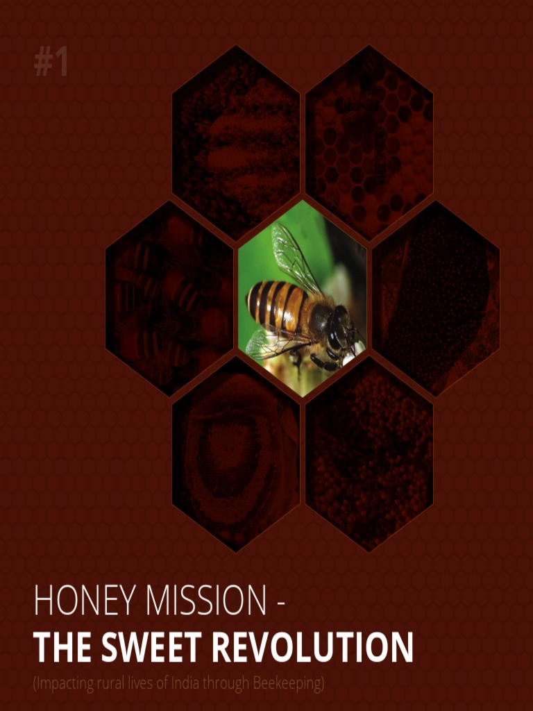 B 1 Basics Of Beekeeping 190613 Pdf Beekeeping Beehive