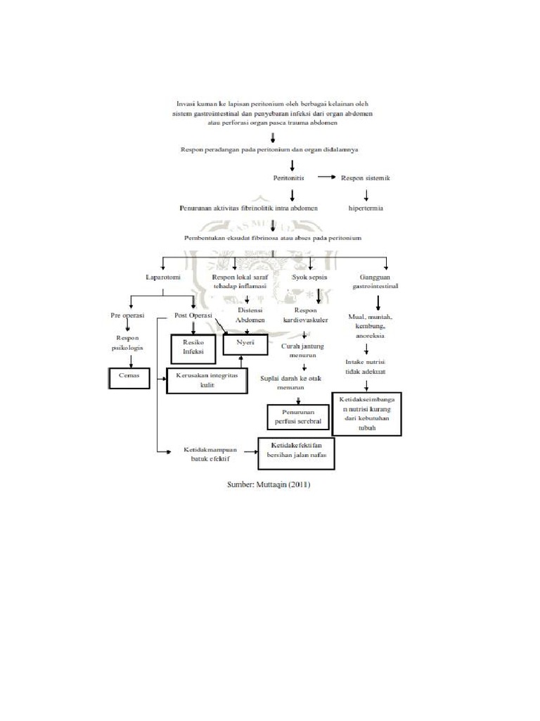 Pathways Peritonitis | PDF
