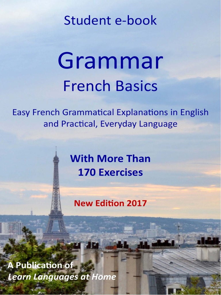 Sample French Basics Grammar Book-2017-3 PDF | PDF | Grammatical Gender ...