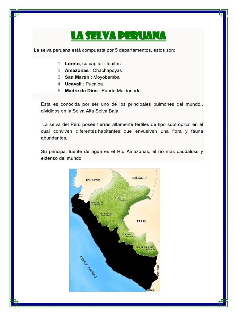 Ubicación y características de la selva peruana | PDF | Selva | Selva ...