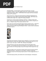 30 Ukuran Stang Seher Semua Motor Dan Cara Meng | PDF