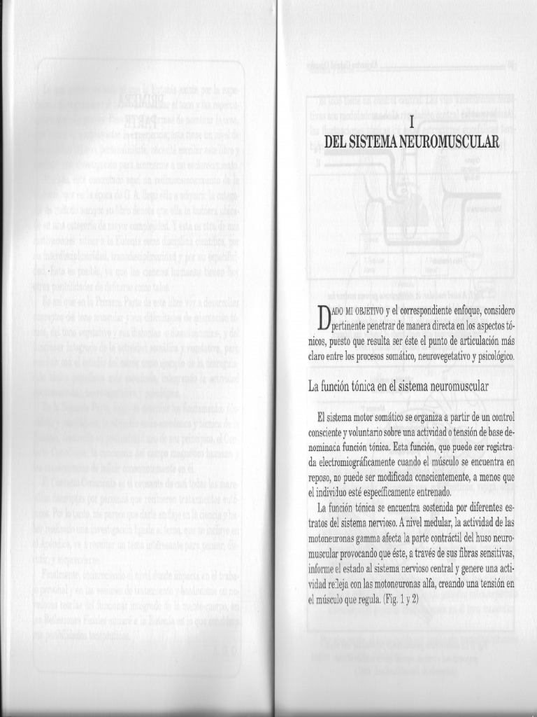 Eutonía y Estrés Odessky PDF | PDF