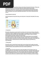 Anatomi Tungkai Bawah Dan Kaki | PDF