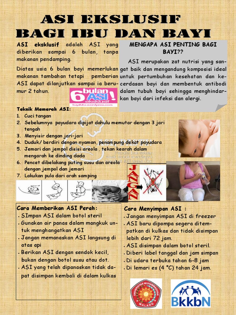 Poster Manfaat Asi Bagi Ibu Dan Bayi | PDF