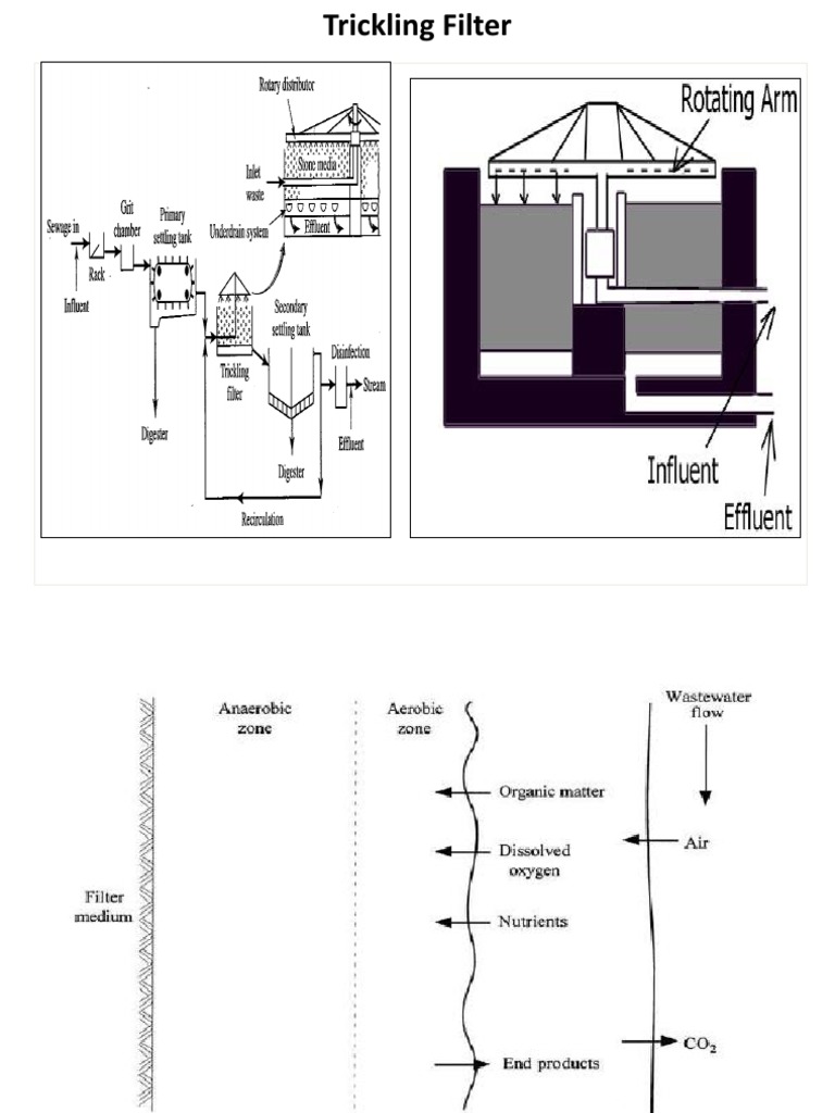 Trickling Filter | Download Free PDF | Sewage Treatment | Environmental ...