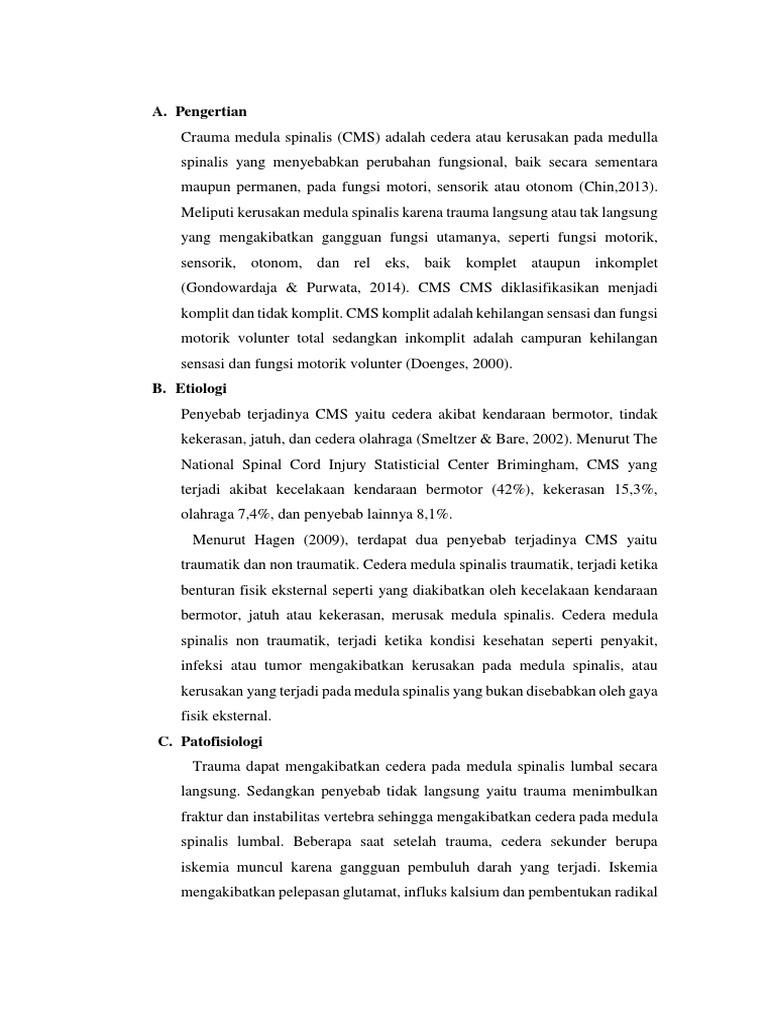 LP Trauma Medula Spinalis | PDF