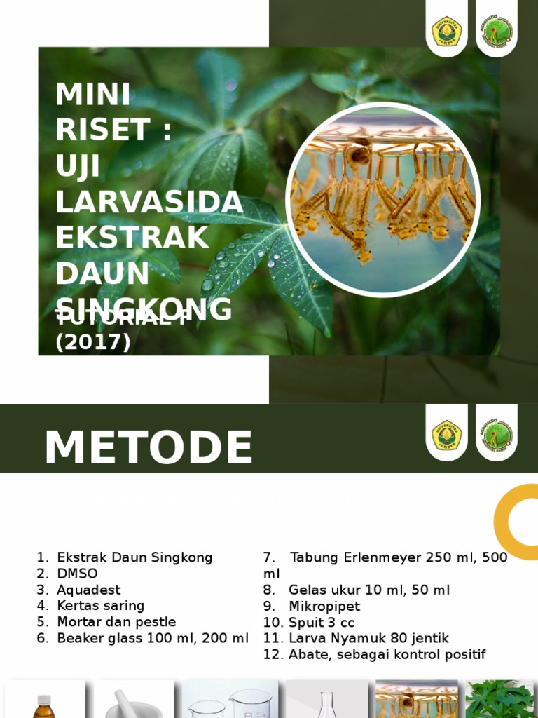 Fixxxx Larvasida-1 | PDF