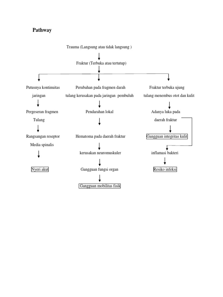 Pathway Fraktur Klavikula | PDF