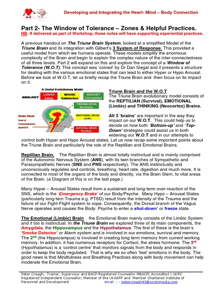 Emotional Resilience-Part 2 The Window of Tolerance | PDF | Autonomic ...