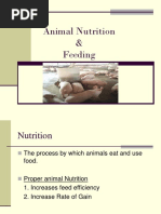 Animal Nutrition Notes PDF | PDF | Digestion | Ruminant