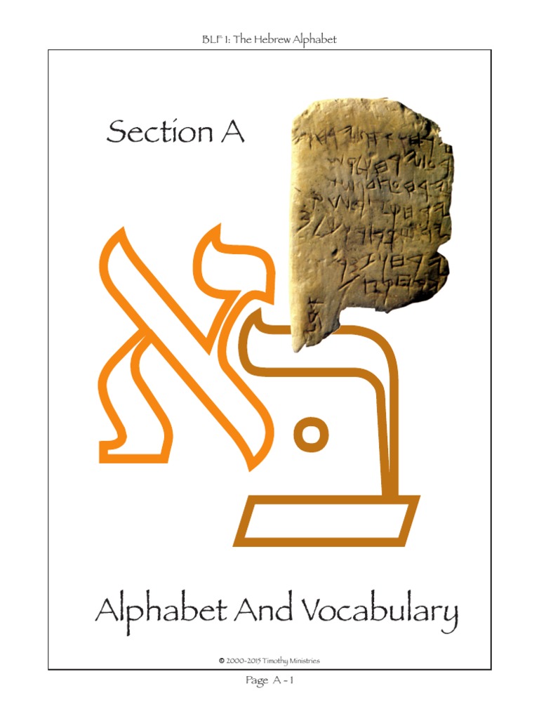 Alphabet | PDF | Western Calligraphy | Languages Of Asia
