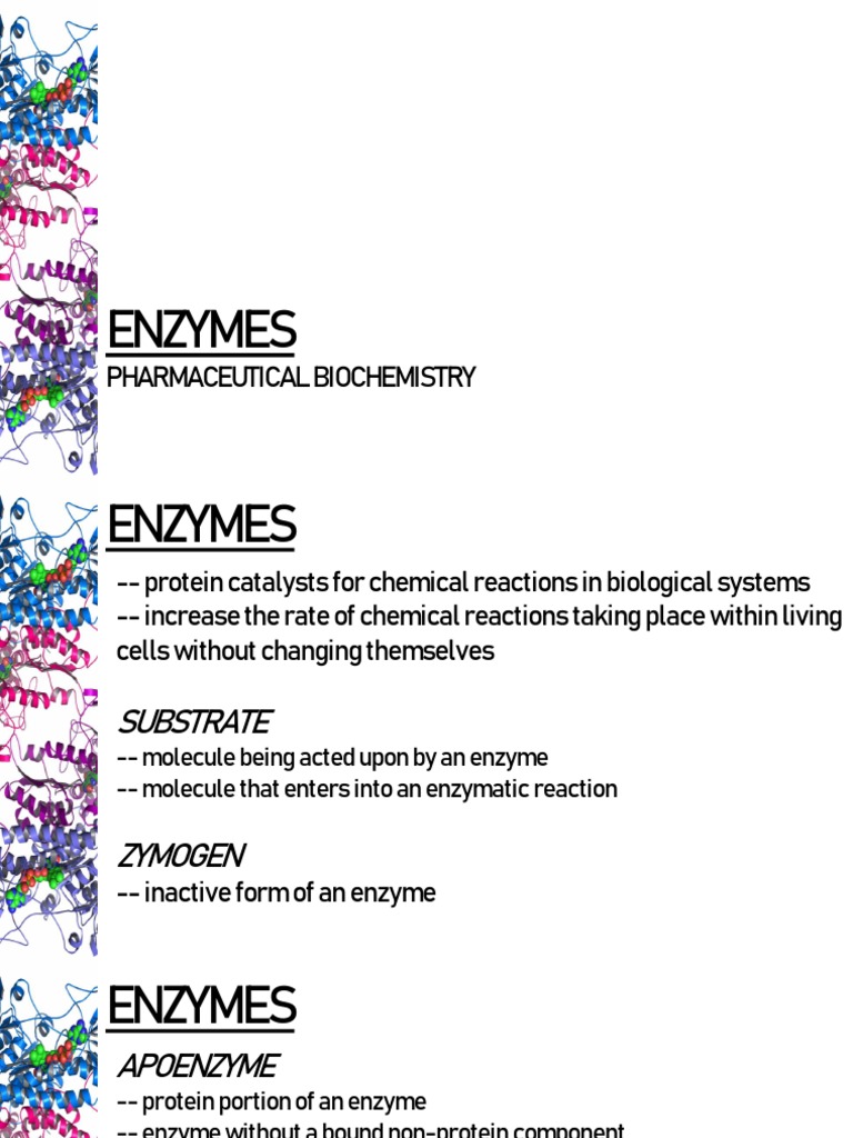 Enzymes | PDF | Cofactor (Biochemistry) | Enzyme