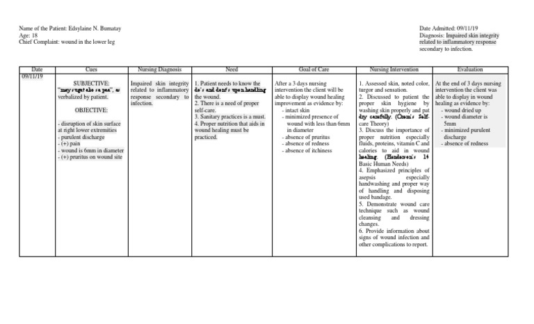 Nursing Care Plan Sample | PDF | Wound | Nursing