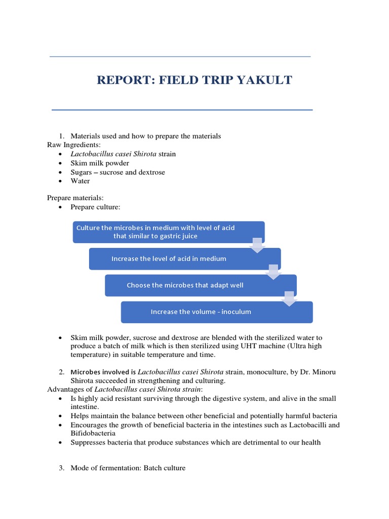 Report Fieldtrip Yakult | PDF | Lactobacillus | Sucrose