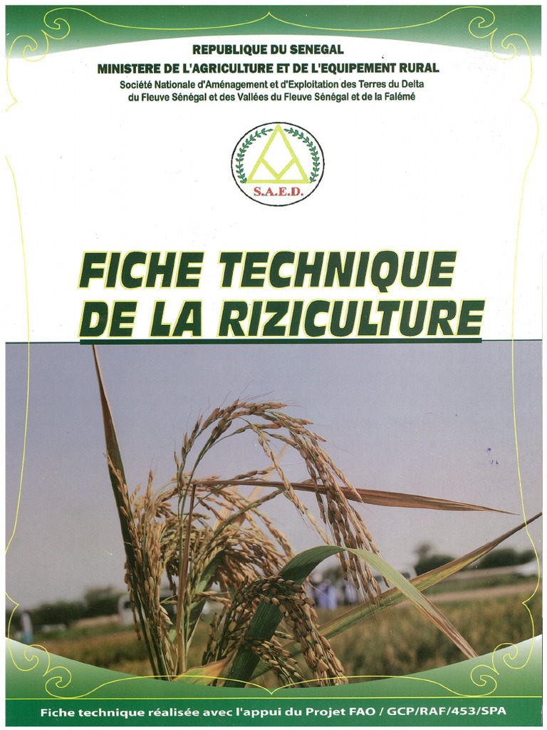 FicheTechnique Riziculture | PDF