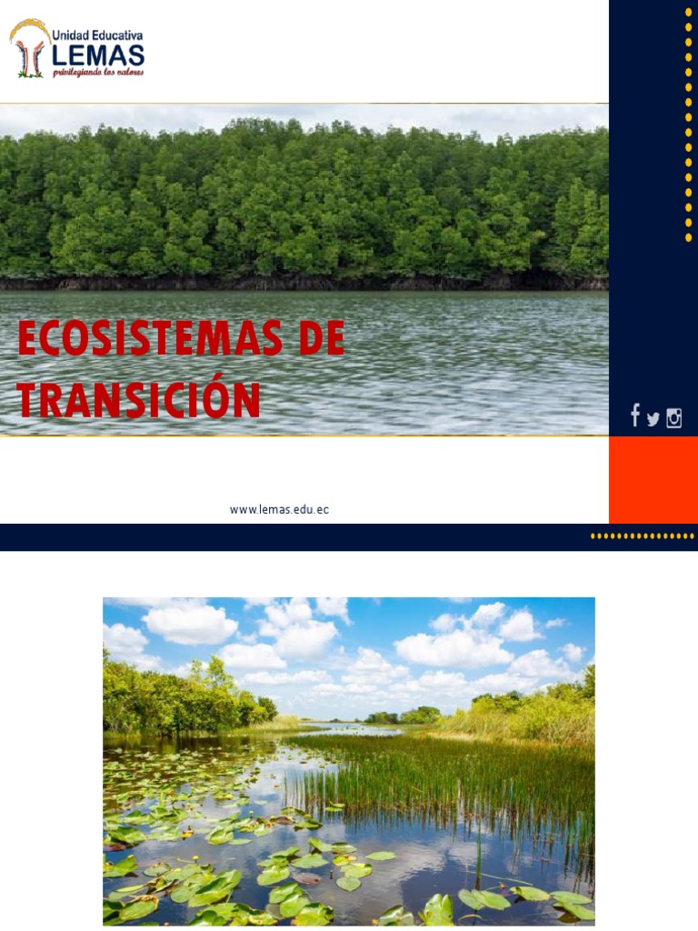 Ecosistemas de Transiciòn | PDF | Organismos | Naturaleza