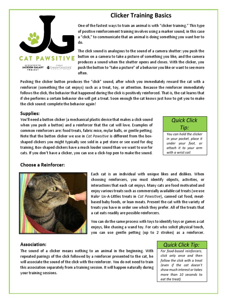 2018 Cat Pawsitive Clicker Training Basics Handout FINAL PDF | PDF ...