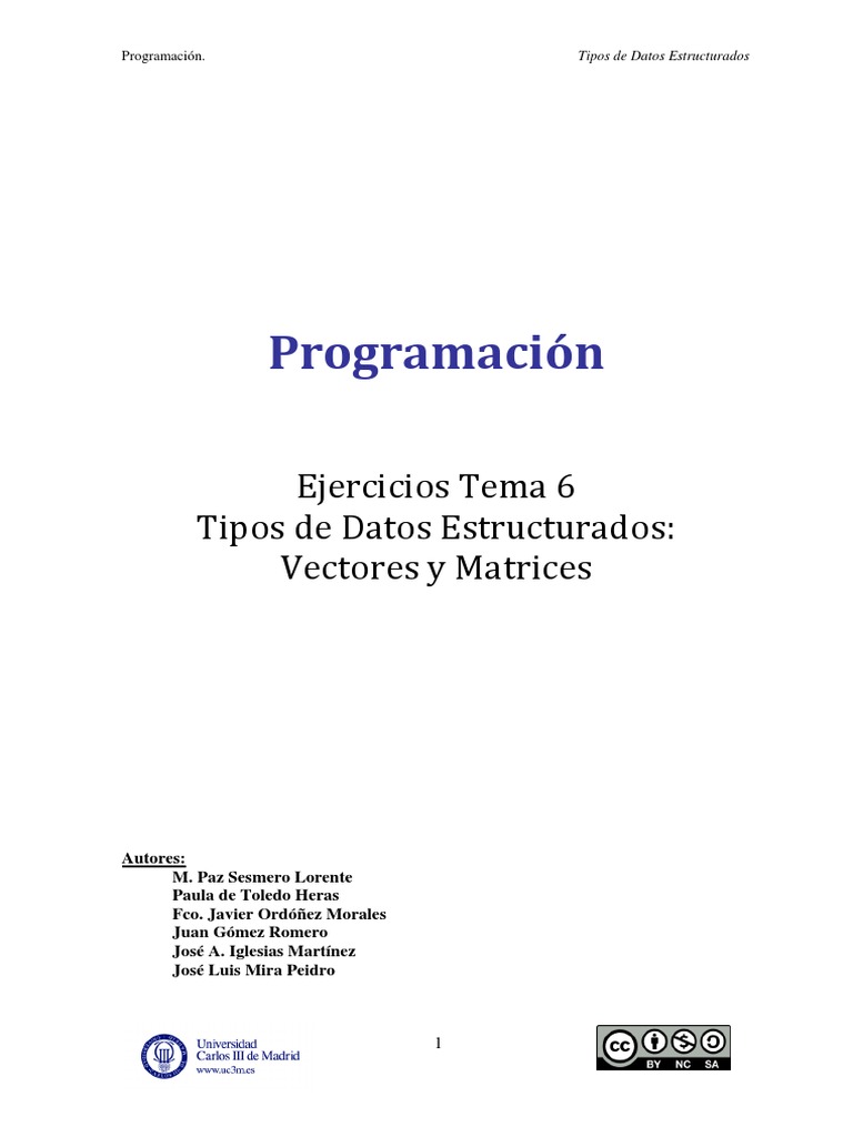Ejercicios Tema6 Parte1 Soluciones PDF | PDF | Matriz (Matemáticas) | Estructura de datos de matriz