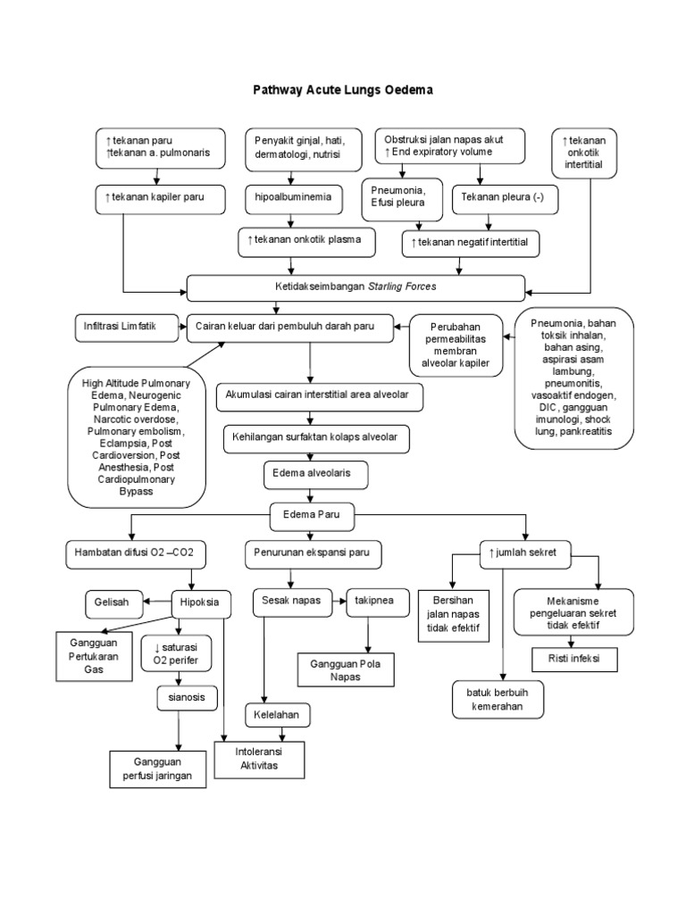 Patway Dan Intervensi ALO | PDF