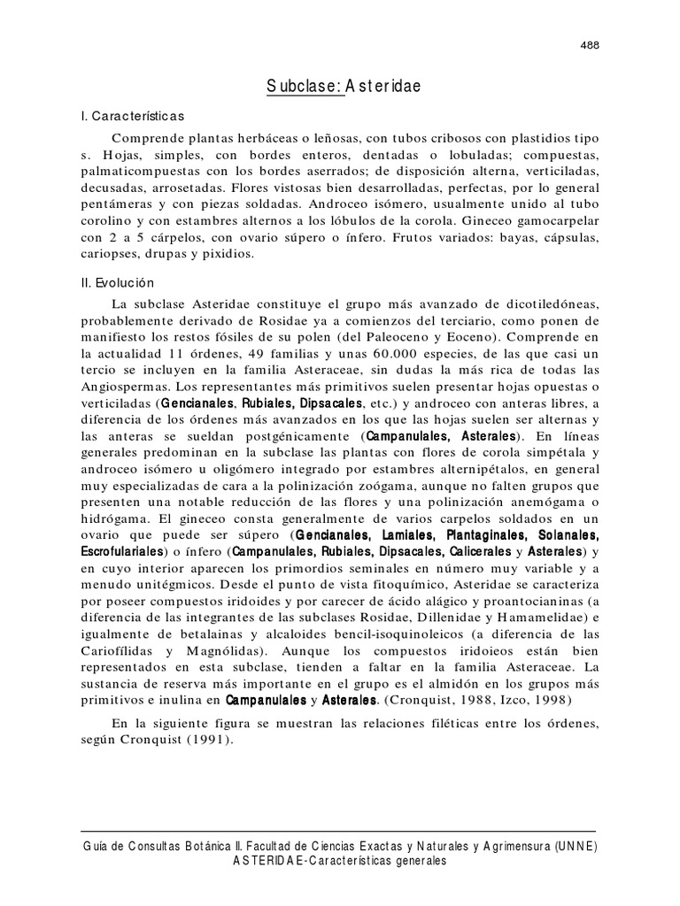 Características Asteridae | PDF | Flores | Plantas
