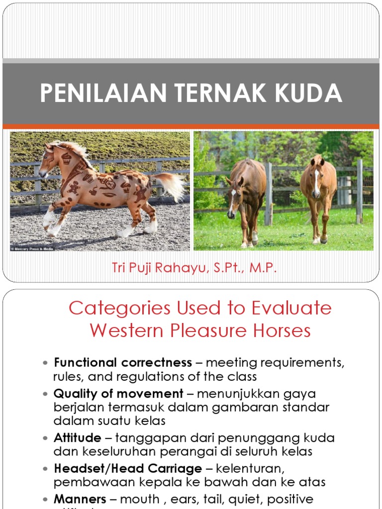 Evaluasi Ternak Kuda | PDF