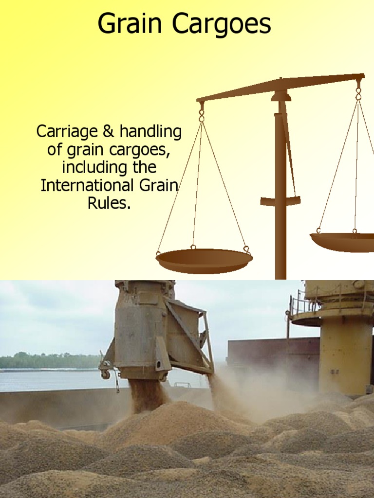 05 Grain Cargo | PDF | Watercraft | Water Transport