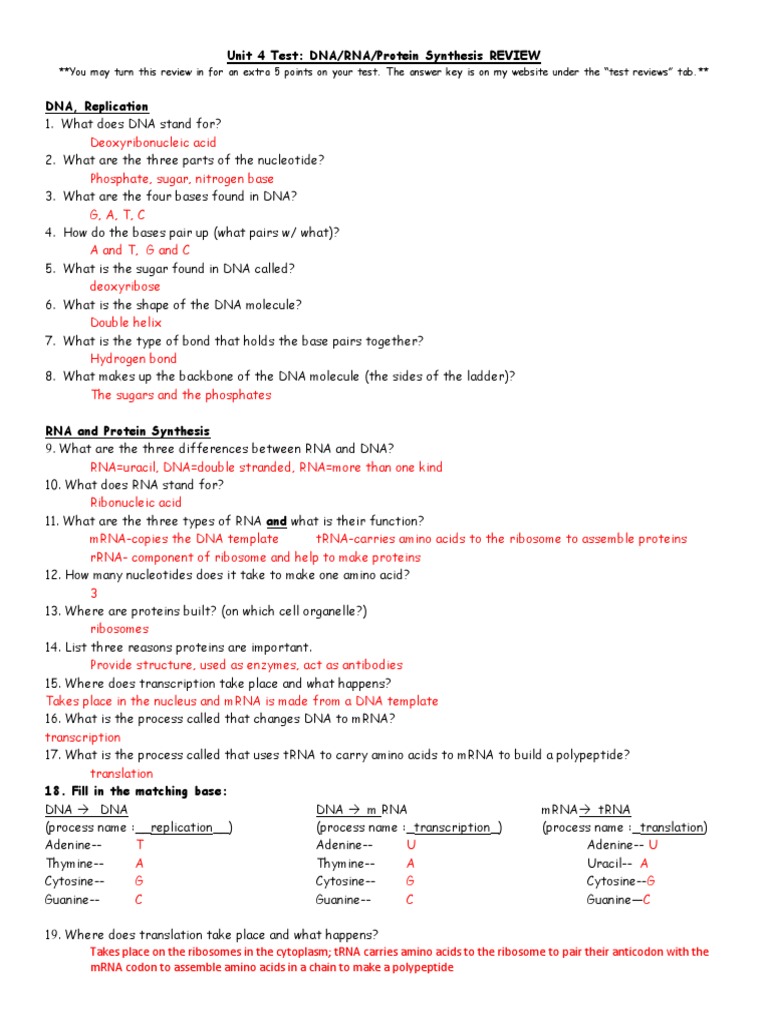 Unit 4 Review - DNA-RNA REVIEW ANswers | PDF | Translation (Biology) | Rna