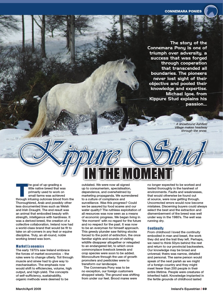 Connemara Pony Breeding Insights | PDF | Horse Breeding | Pony