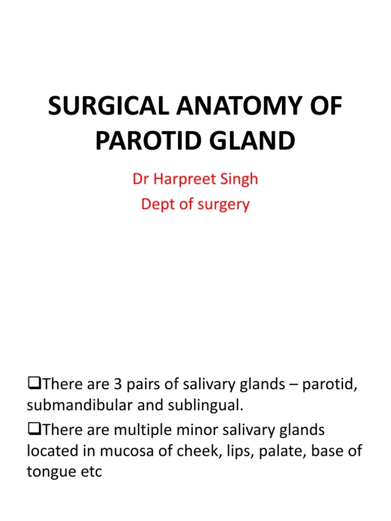 Surgical Anatomy of Parotid Gland - Ommos - Edition-01-Soi | PDF ...