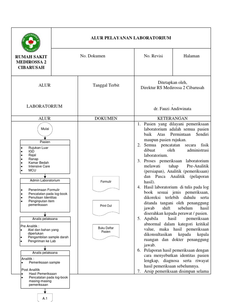 Alur Pelayanan Lab | PDF