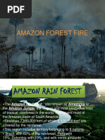 Amazon Deforestation Data and Graphs | PDF | Amazon Rainforest | Deforestation