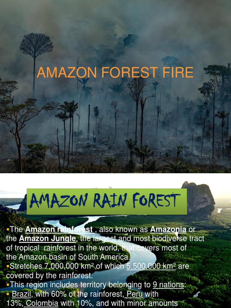 AMAZON FOREST FIRE PPT Final | PDF