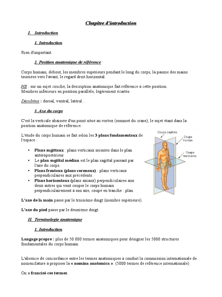 Anatomie : Position et Terminologie | PDF | Articulation (anatomie ...