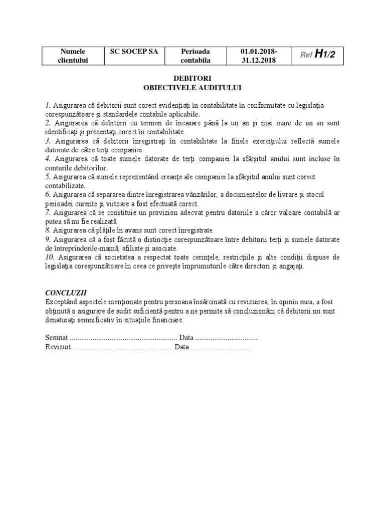 Sectiunea H Audit | PDF