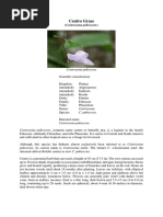 Pili Production Guide - Pili Farming - Business Diary PH | PDF | Trees ...