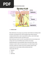 Anatomi Kulit | PDF