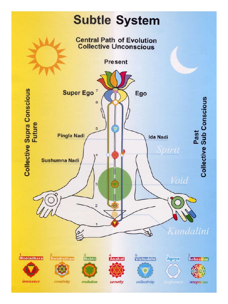 Subtle Autonomous Nervous System Chakra Guide Patanjali PDF | PDF