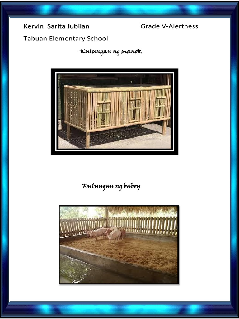 Kulungan NG Manok | PDF