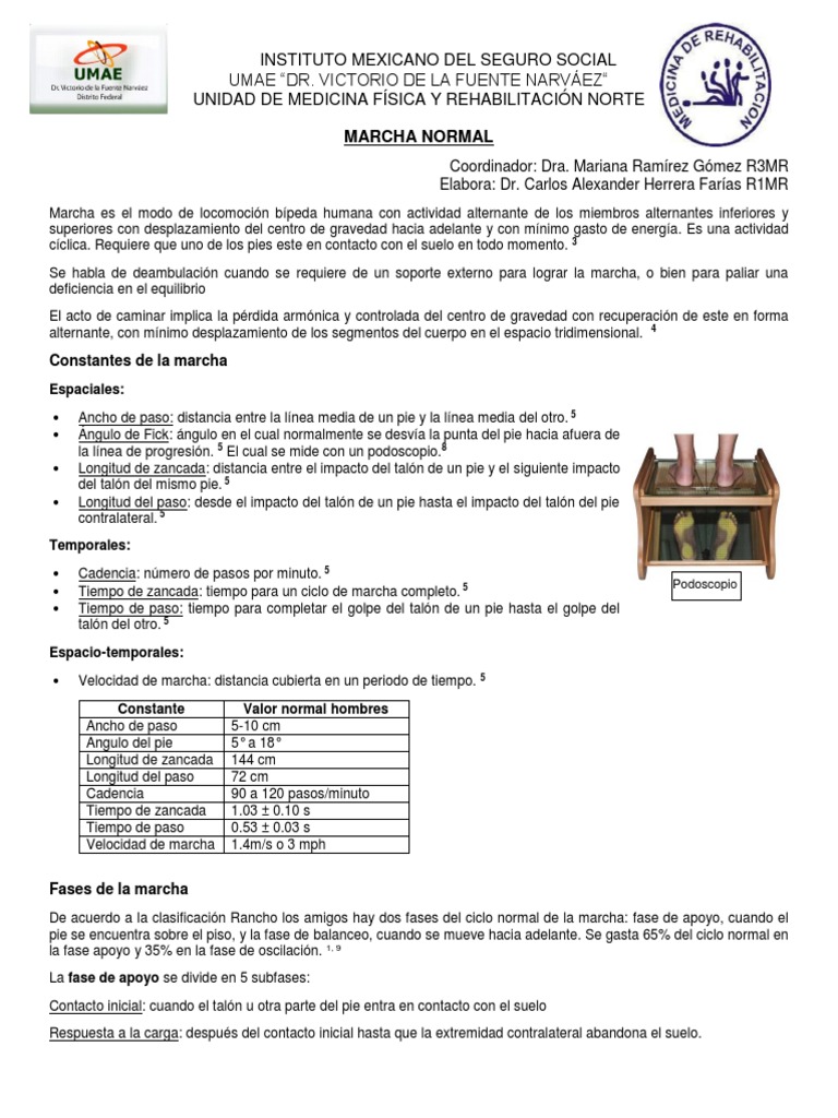 6 Marcha Normal Componentes, Fases, Determinantes. Tipos de Marcha ...